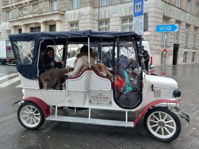 Home - E-Oldtimer Tours Wien